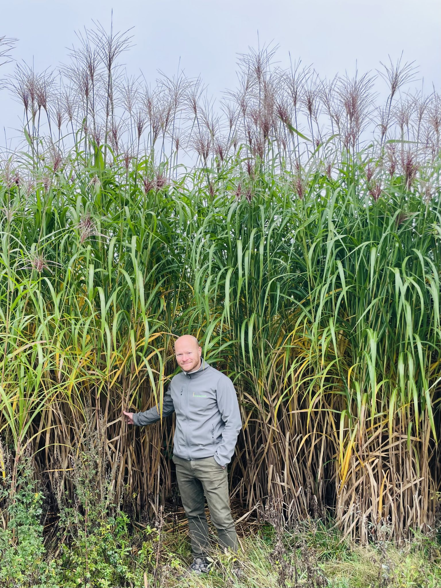 Volledig circulaire bouw: ‘We hebben biobased materialen nodig ...